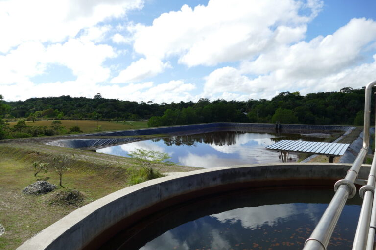 Actualités – Communauté d’Agglomération du Centre Littoral de Guyane